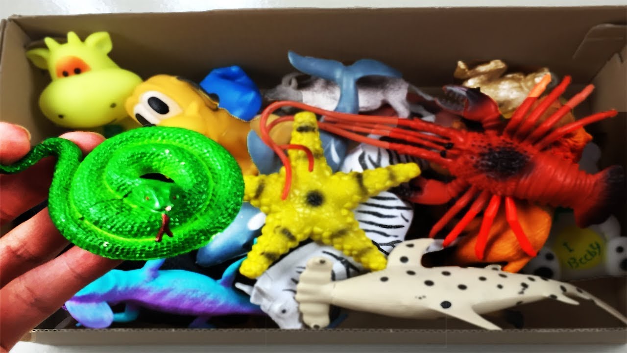 Box Of Toys Animals Learn Colors Names and Sounds Educational With Sea ...