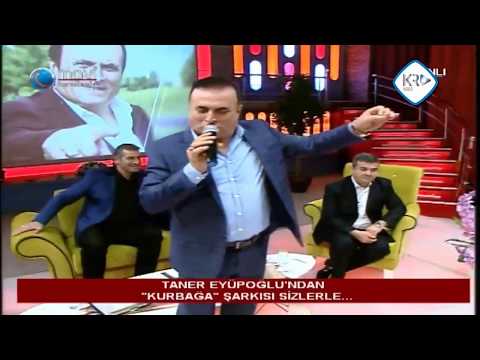 Taner Eyüpoğlu -  Kurbağa Nette İlk Kez Yeni
