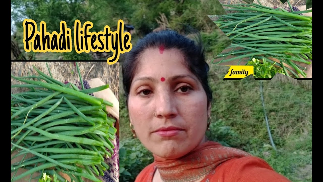 Pahadi lifestyle vlog||Nature ke pas🌿🌿😁 The kanwar family||village vlog ...