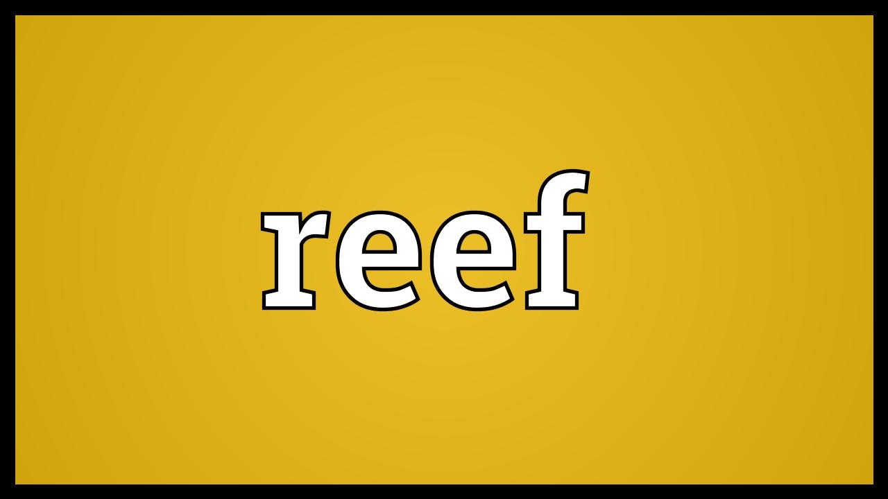 Reef Meaning - YouTube