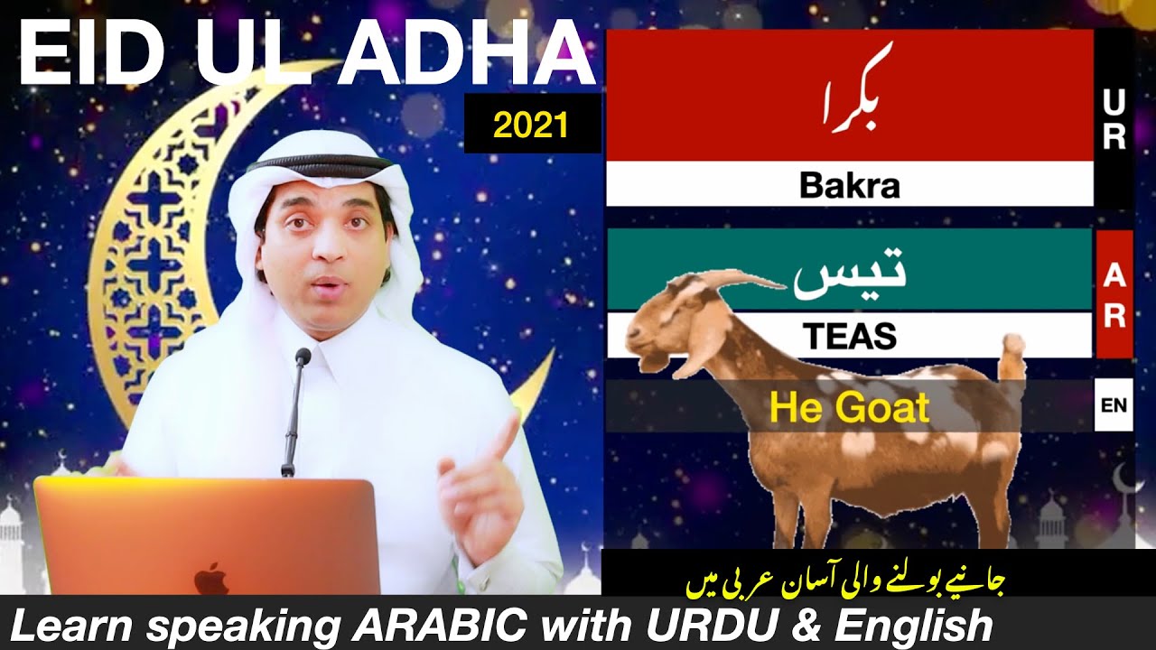 how to speak basic arabic | Bakra Eid in Arabic Urdu | بکرا عید کے جملے ...