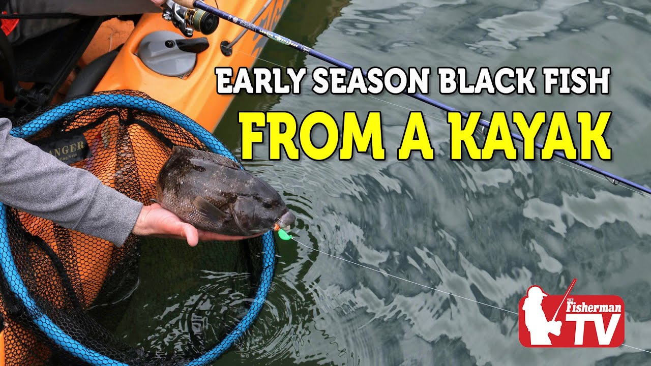 Targeting Early Season Blackfish From a Kayak - YouTube