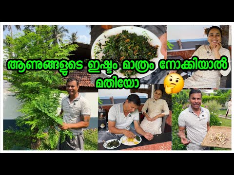 ആണുങ്ങൾക്ക് ഇഷ്ടമില്ല... മുരിങ്ങയില തോരനും /Village cooking /Vegetarian recipe /Muringayila thoran 