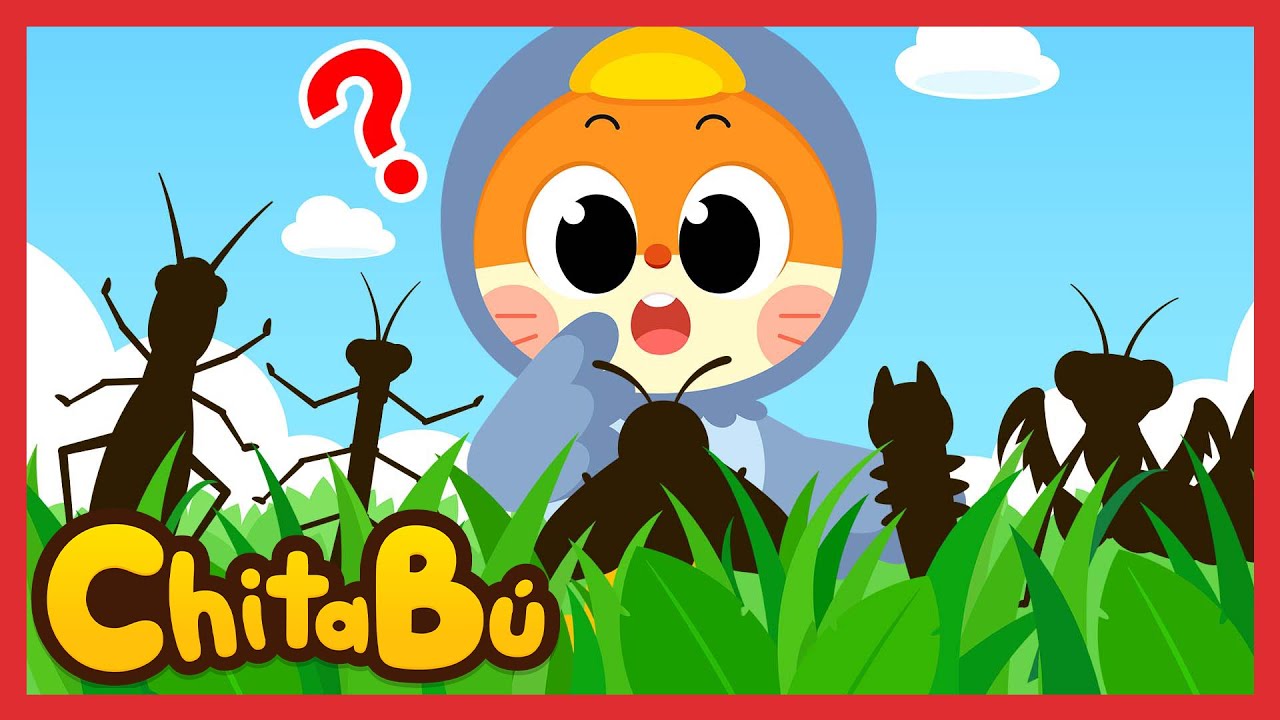 Canción Infantil de los Insectos 🐛🐜🐞| Canciones Infantiles | #ChitaBú ...