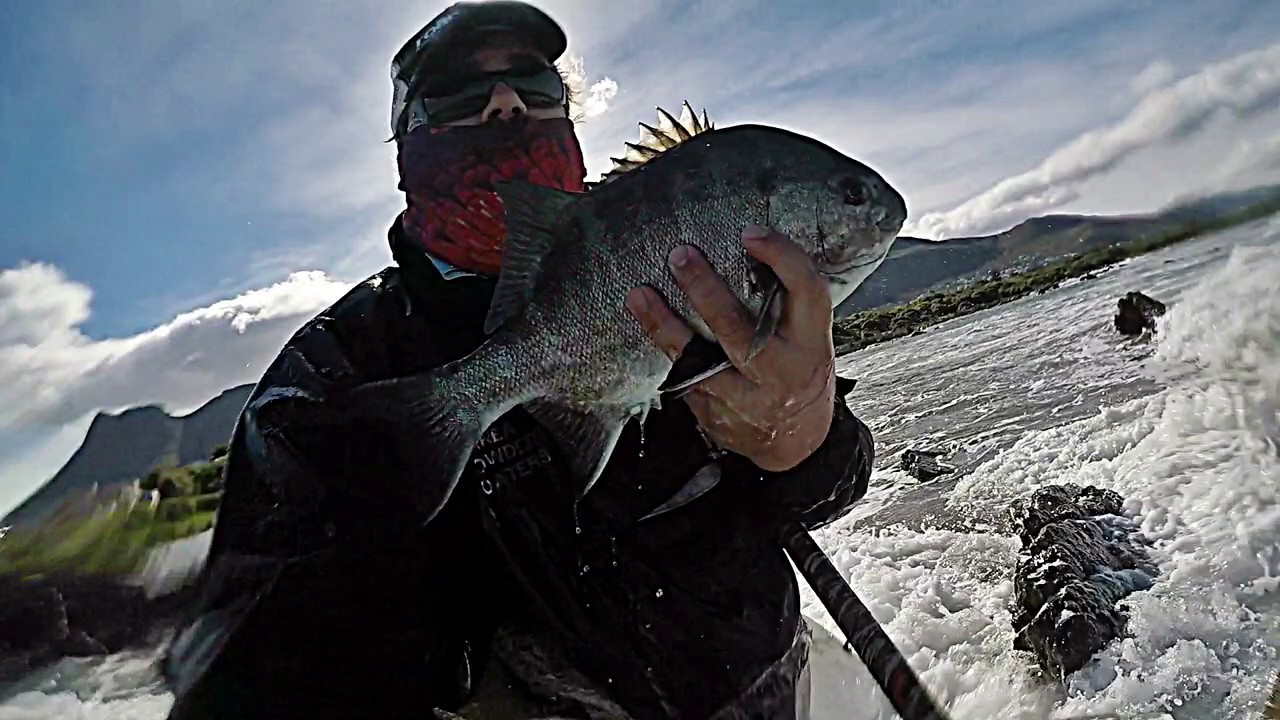 Catching Galjoen in Big Swell on light tackle - YouTube