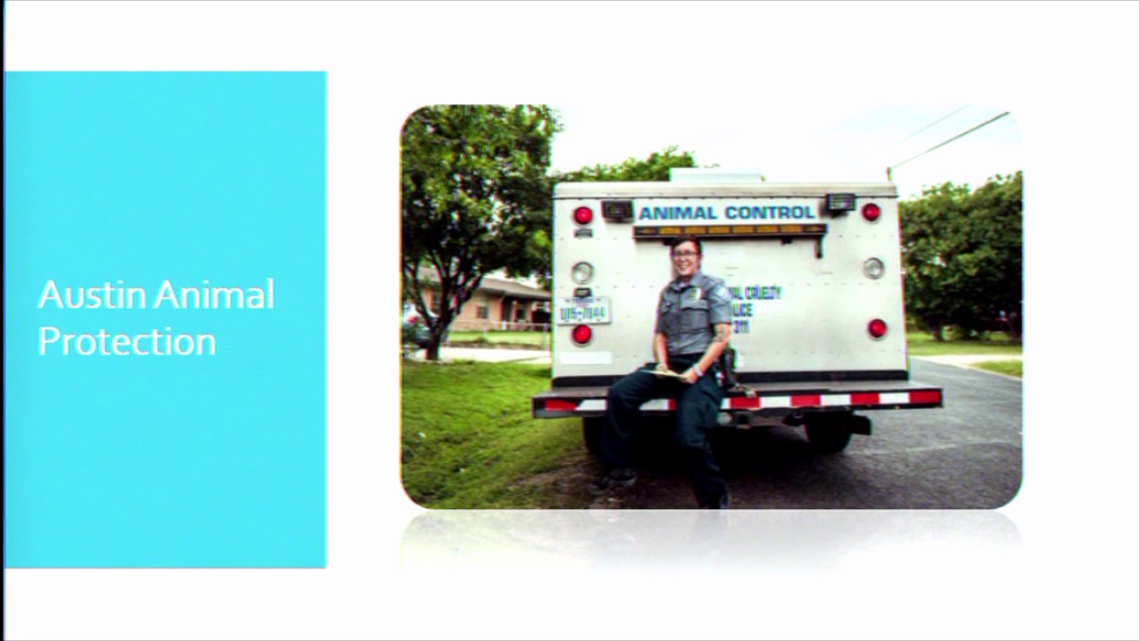 Lifesaving Animal Control Policies - conference recording - YouTube