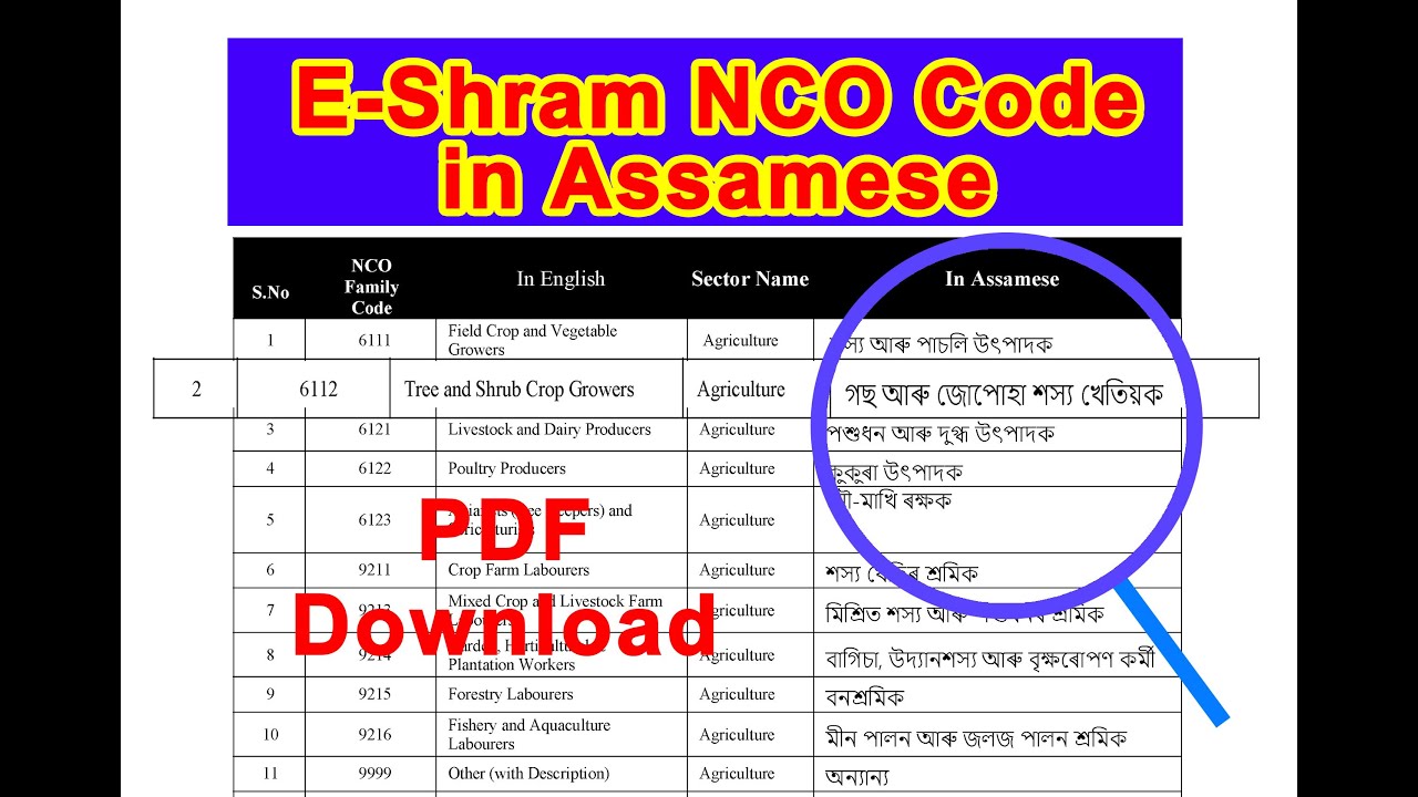 E-Shram NCO Code in Assamese - YouTube