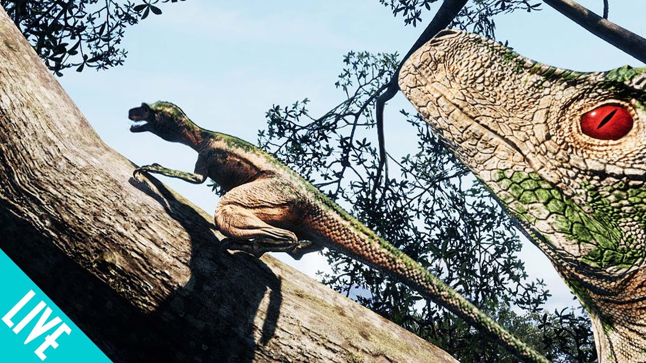 Monthly Members Only Stream: The Isle Evrima | Tree Top Terror - YouTube