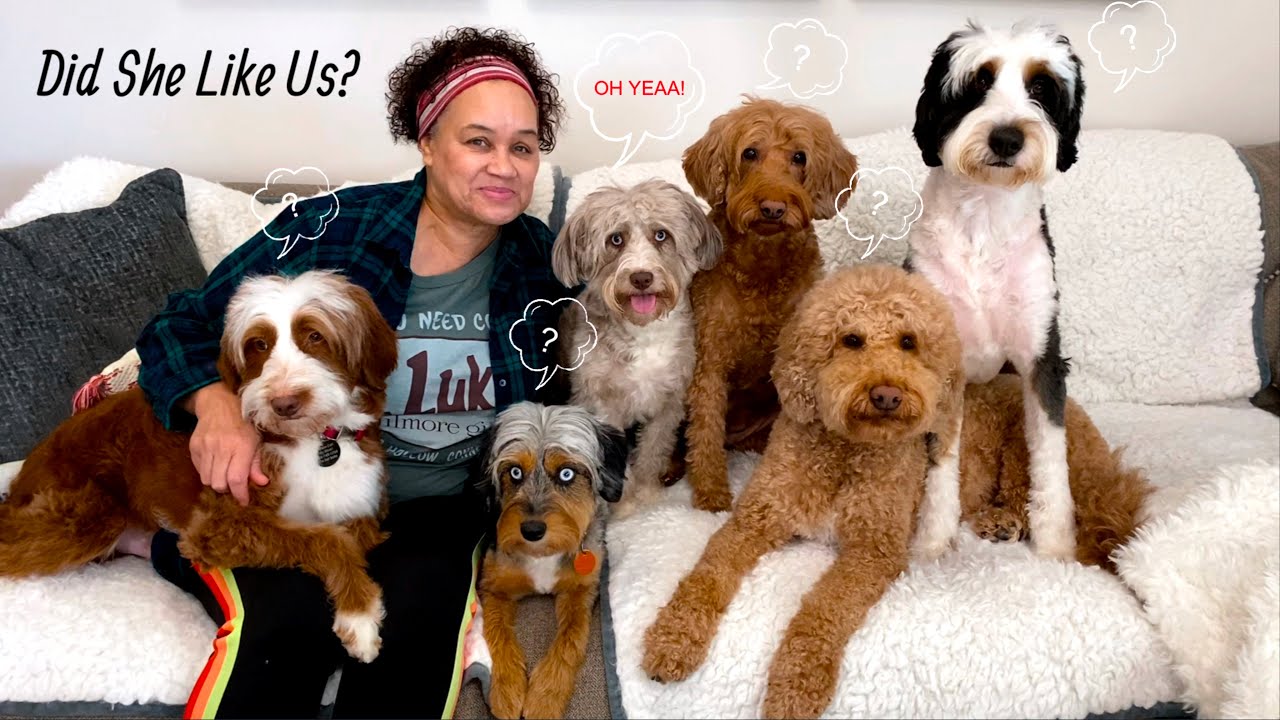 We had A Visitor Come! | What Did She Think Of Our Dogs? { Explaining ...