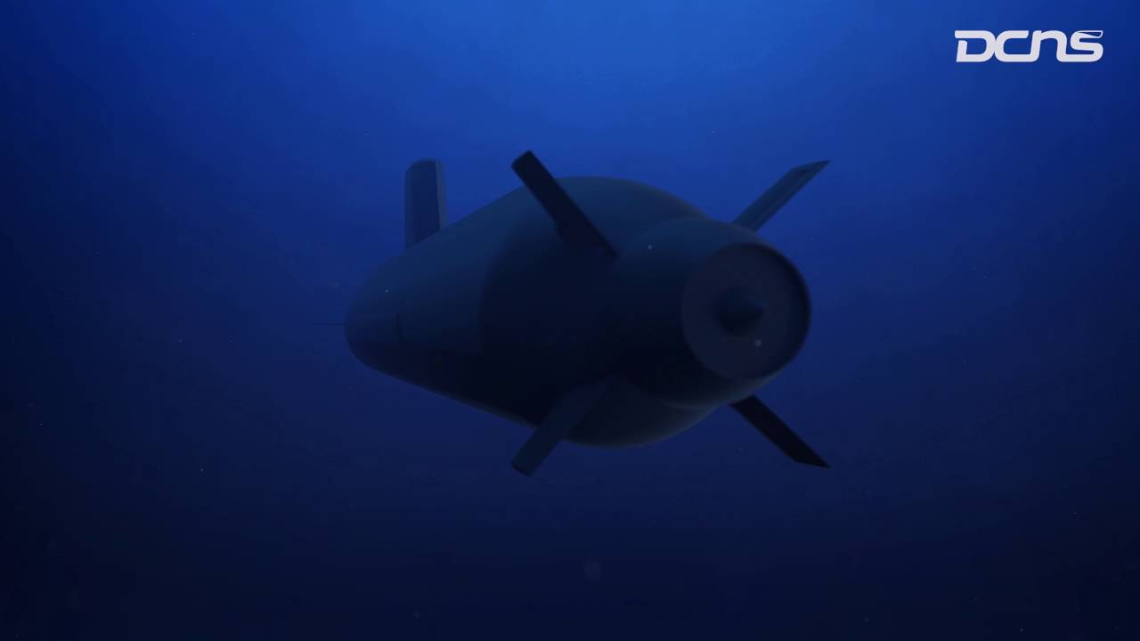 Shortfin Barracuda - YouTube