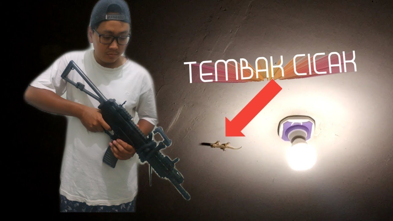Tembak cicak, berburu hama cicak | tembakan cicak termantap versi ...