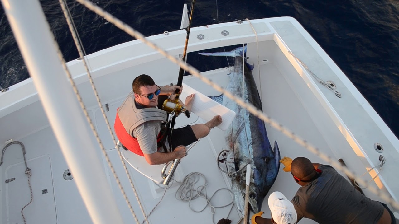 On to the Boat - 388lb Blue Marlin Mauritius on the Magic Hooker August ...