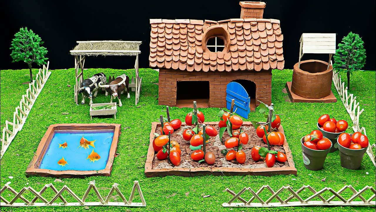 DIY how to make cow shed | Harvesting Tomato Garden | house of animals ...