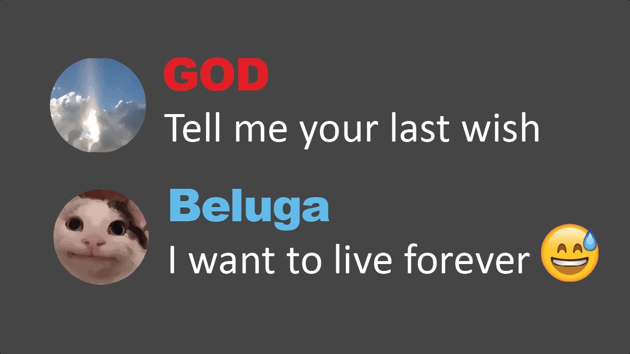 When Beluga meet God and wish to live forever - YouTube