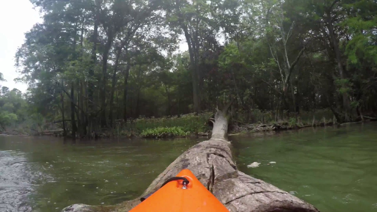 Spring Creek Kayak Run May 20, 2017 - YouTube
