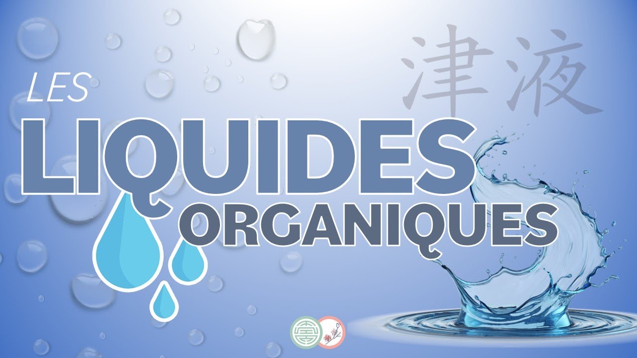 #20 - Les LIQUIDES ORGANIQUES - JIN YE en Médecine Traditionnelle Chinoise - YouTube