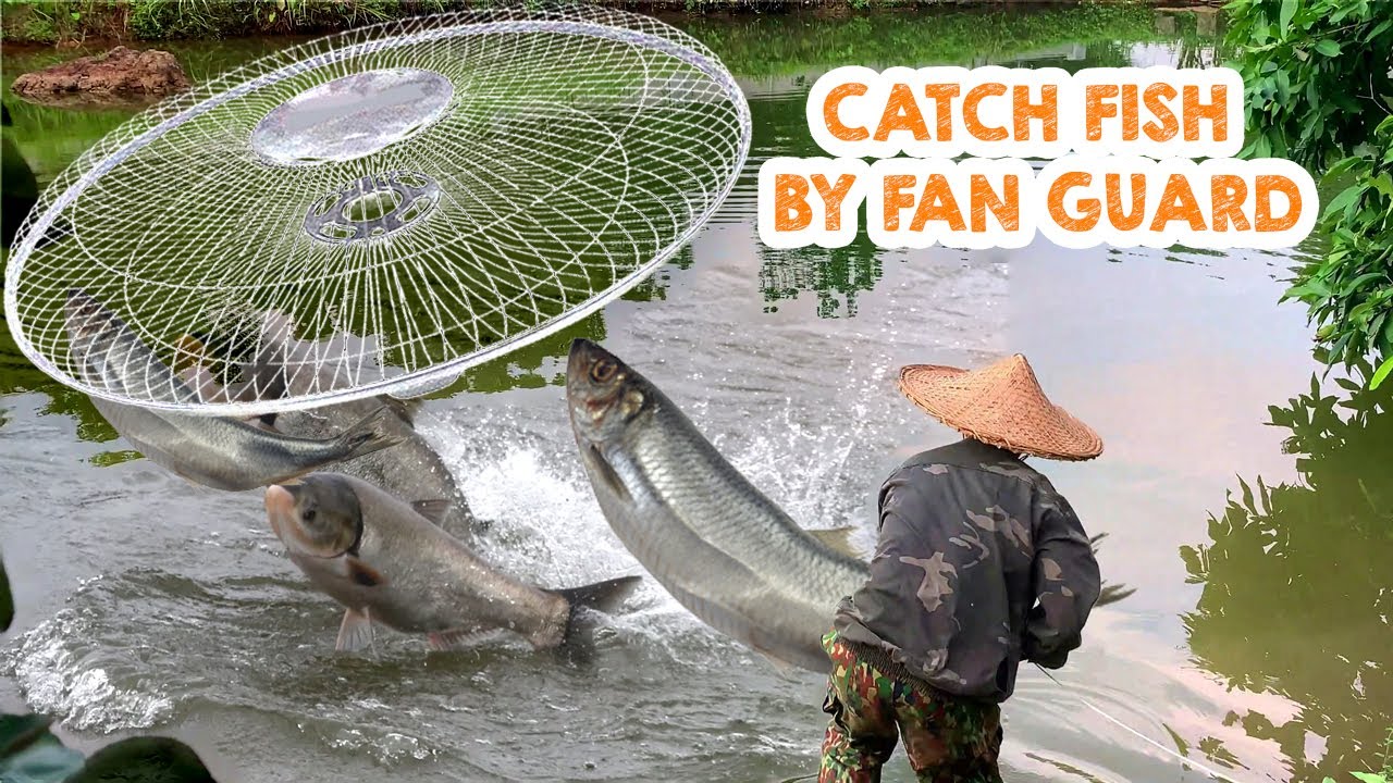 Don't Miss Out Super Easy Fish Trap Using a Fan Guard - YouTube