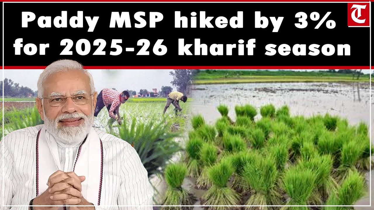 Paddy MSP hiked by 3%; pulses, oilseeds by up to 9% for 2025-26 kharif ...