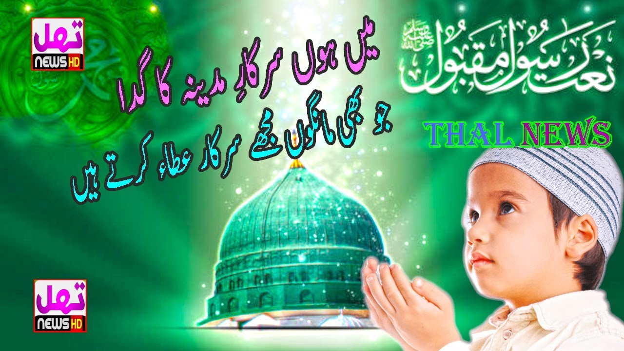 Main Hoon Sarkare Madina Ka Gadha | Famous kalam | Islamic Status |Thal ...