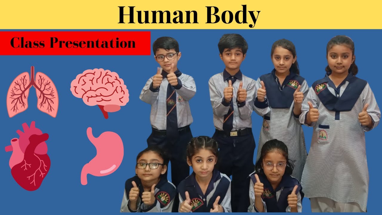 Human Body | External Organs | Class 2 Presentation at Students' Inn ...