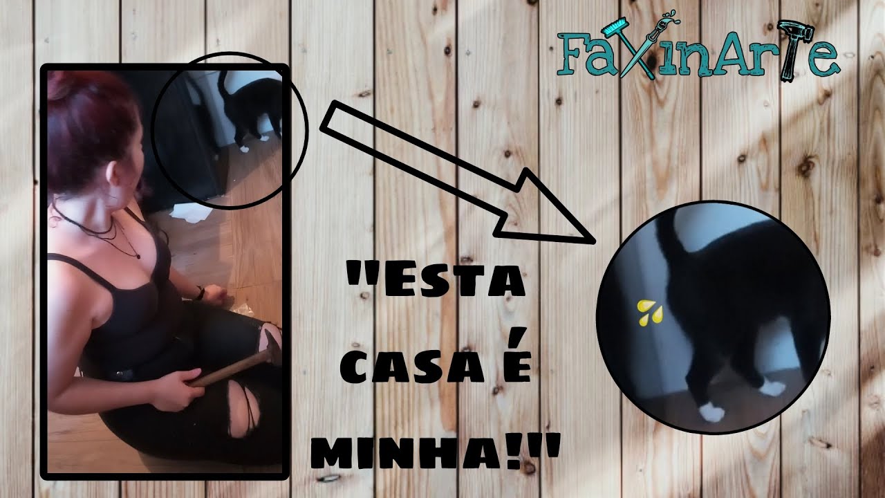 Móveis montados! Agora é "só" colocá-los na parede (precisamos de ajuda ...