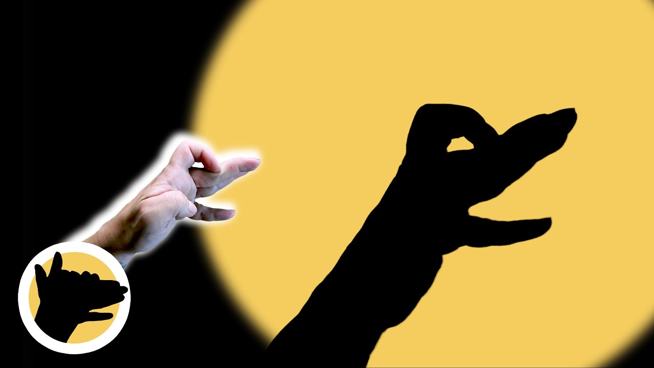 HOW to Make a DUCK with HAND SHADOWS 🦆 | Shadow HANDS Tutorial! - YouTube