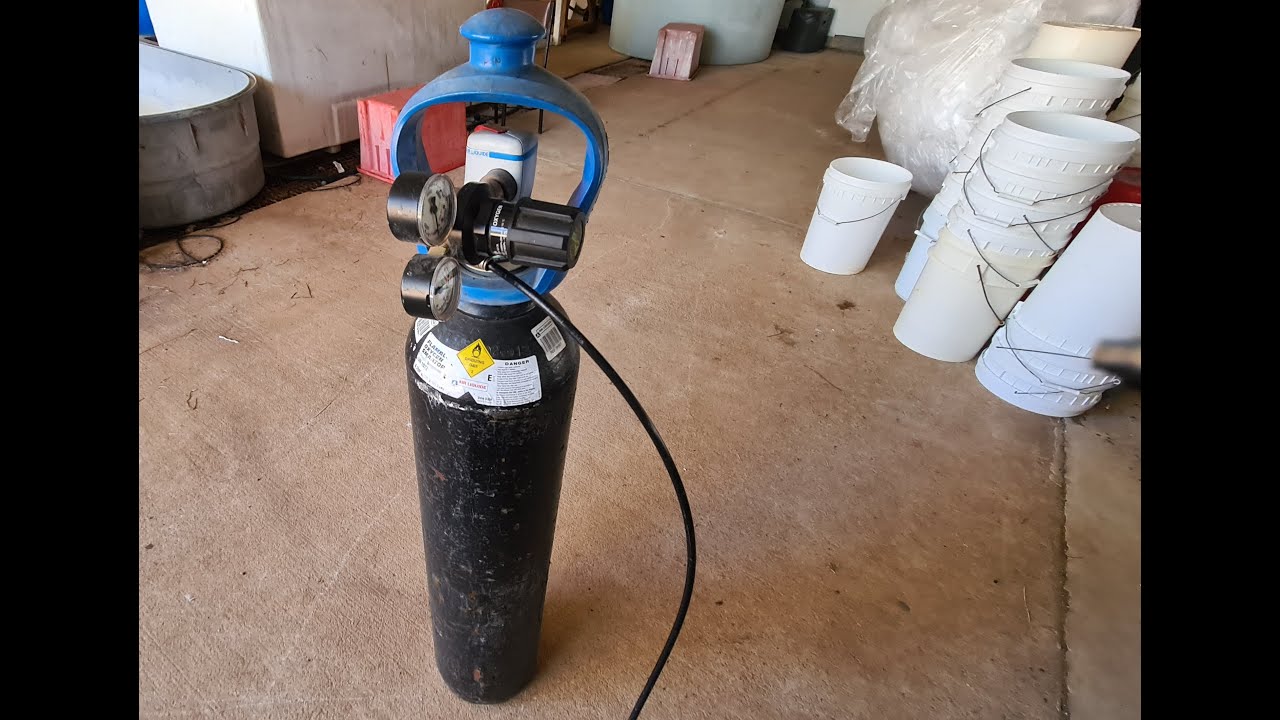 Oxygen setup for bagging fish - YouTube