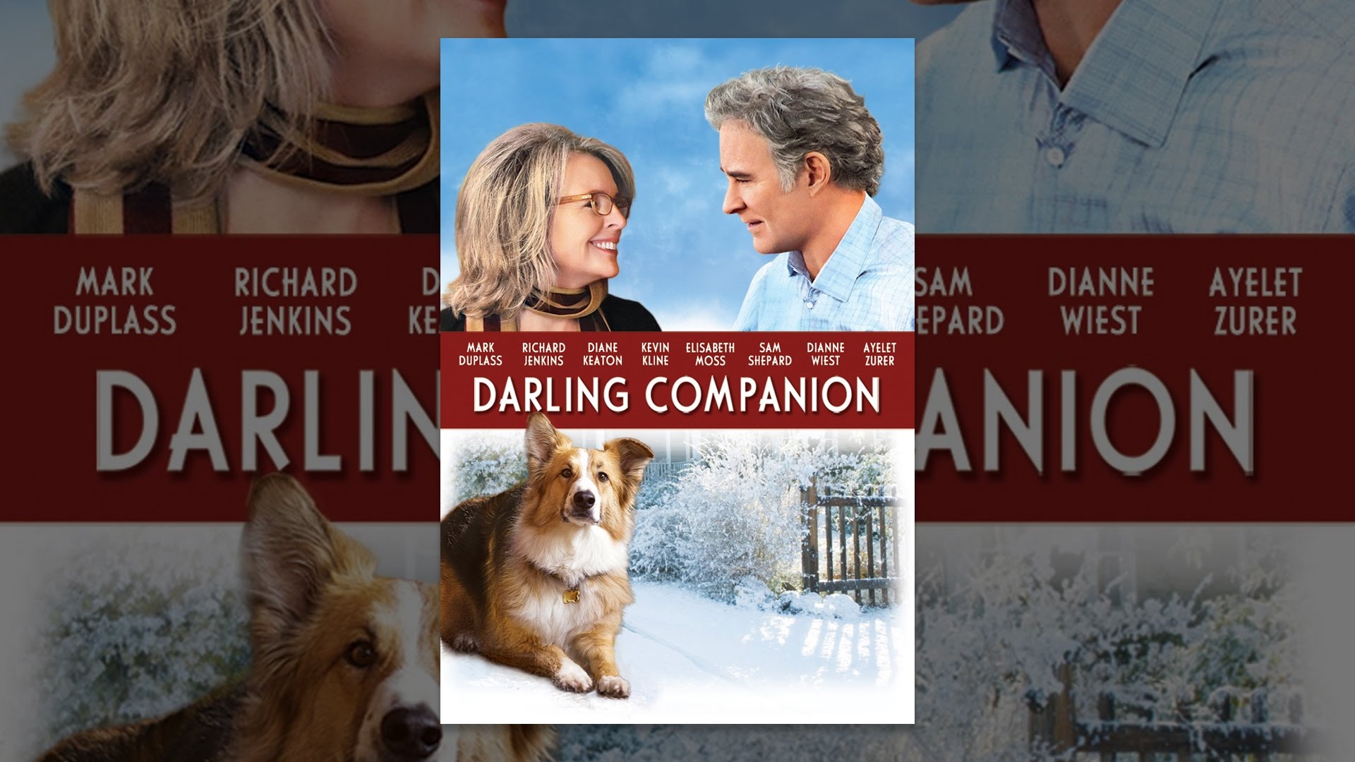 Darling Companion - YouTube