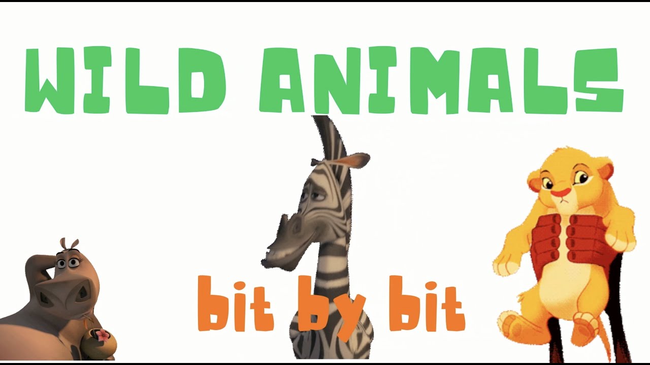 Wild Animals bit by bit - YouTube