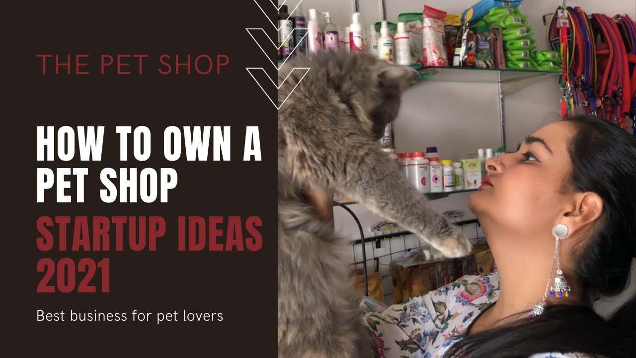 Pet Shop Detailed video || Business Ideas 2021 || Best business for pet ...