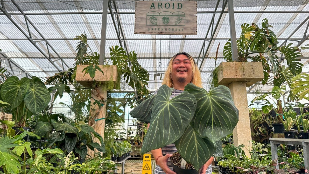 The Most Beautiful Nursery I’ve Ever Shown You (So Far) - YouTube