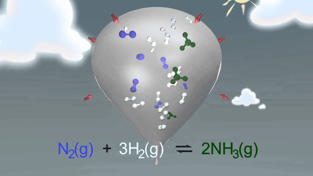 Le Chatelier's principle | University Of Surrey - YouTube