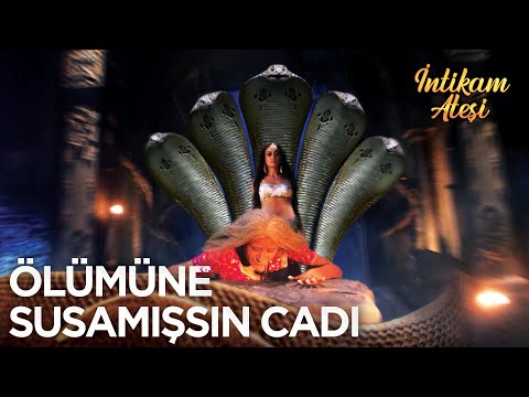 Yılan Kraliçesine Meydan Okuyan Ölmeye Mahkumdur | İntikam Ateşi