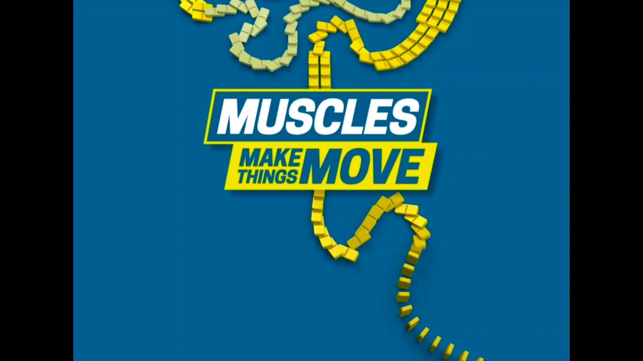 Muscles Make Things Move - YouTube