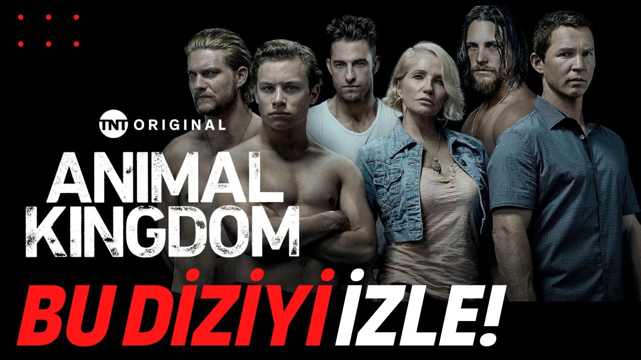 Bu Diziyi Kaçırma! | Animal Kingdom Dizi İncelemesi | Az Bilinen ...