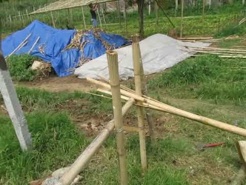 How to split Bamboo into 4 even pieces - YouTube