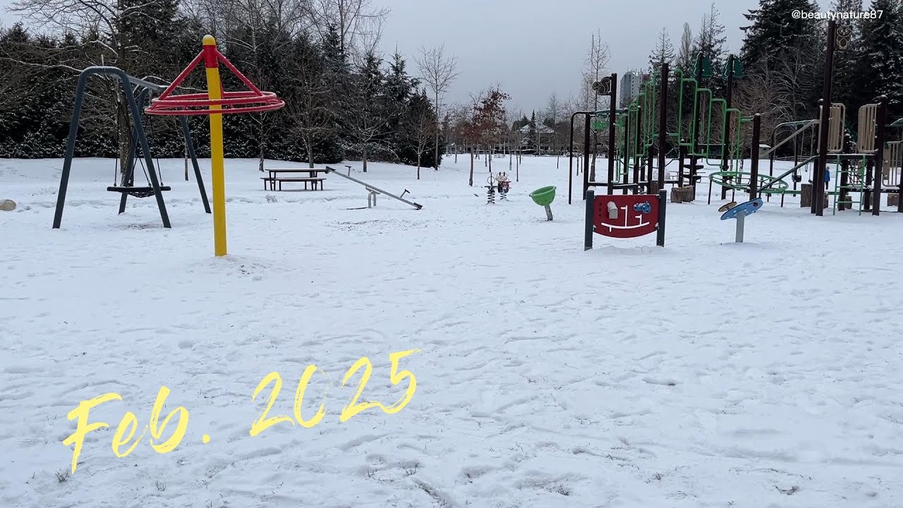 Snowy Serenity: Peaceful Winter Morning Walk to Soothe Your Mind and ...