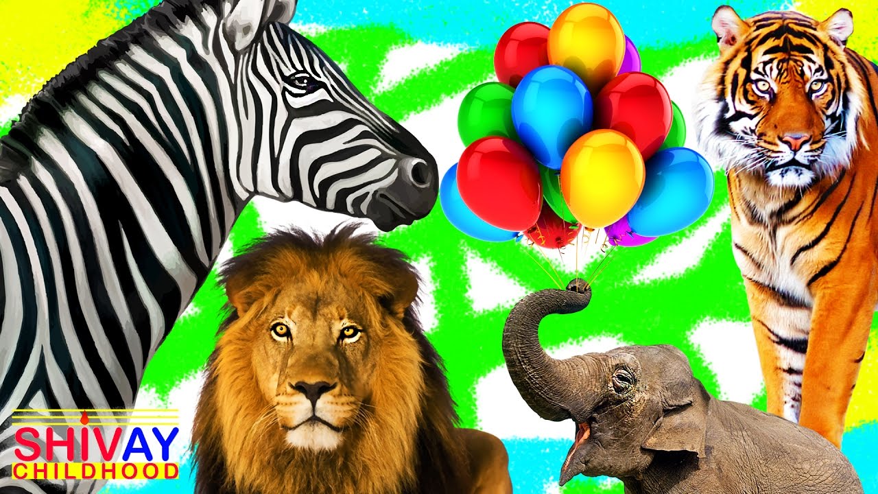 Learning Wild Animals for Kids | Learning Animals Name and Sounds for ...