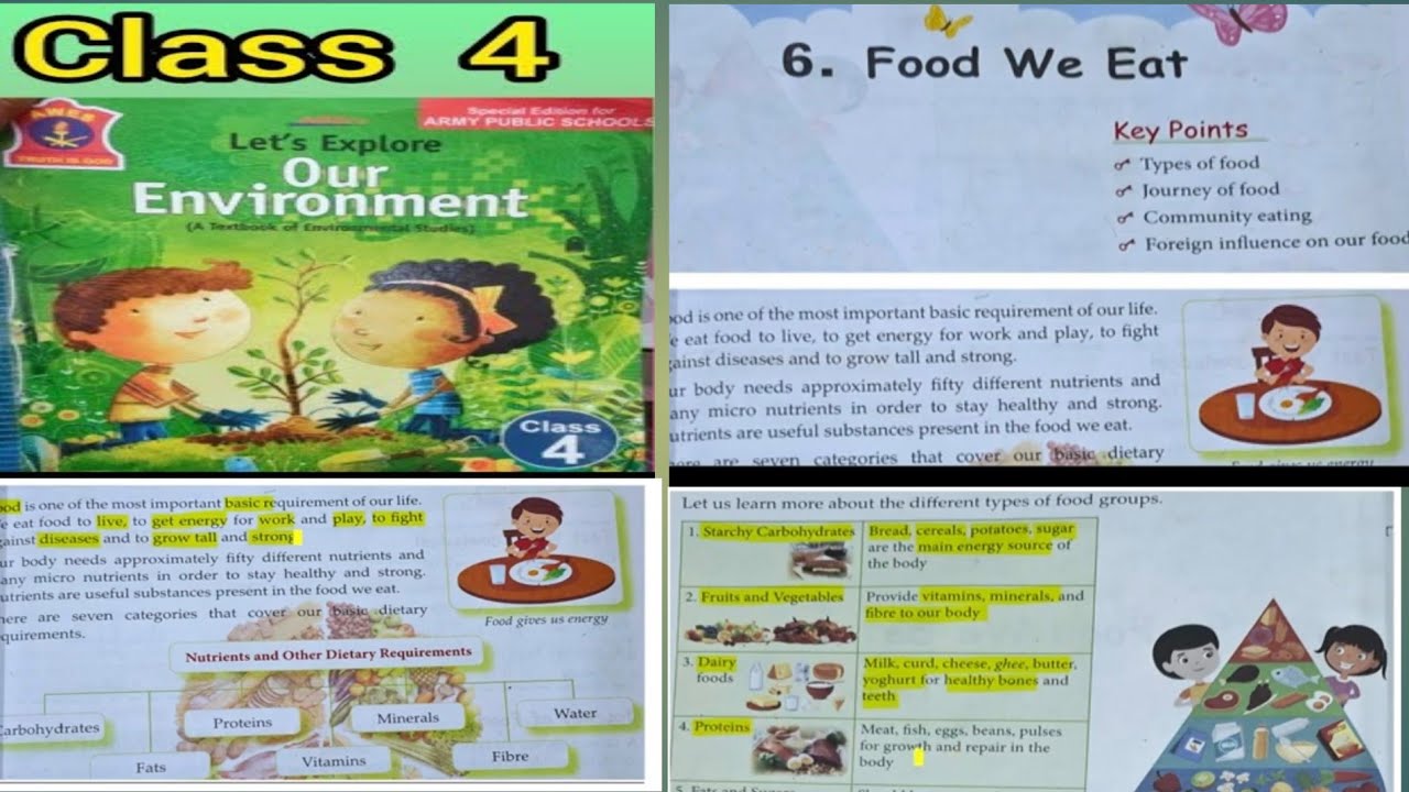 chapter 6 FOOD WE EAT CLASS 4 EVS - YouTube