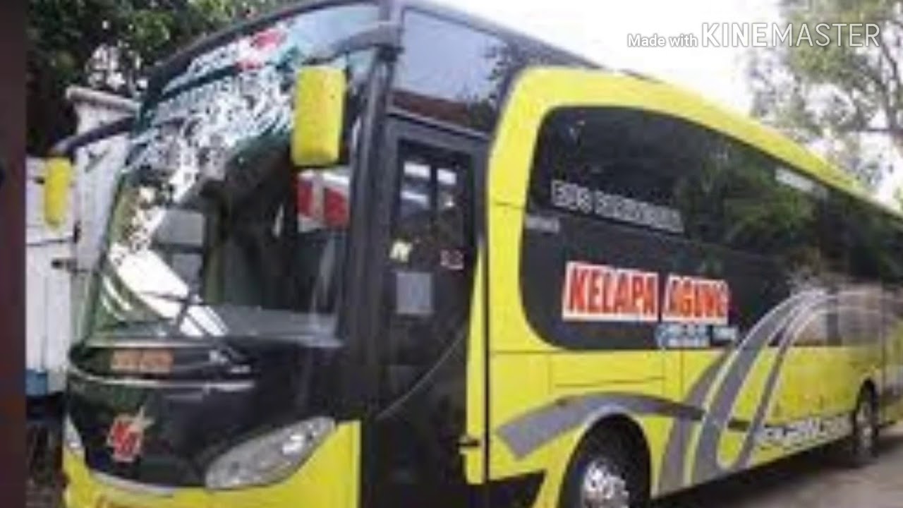 Kumpulan bus bus keren - YouTube