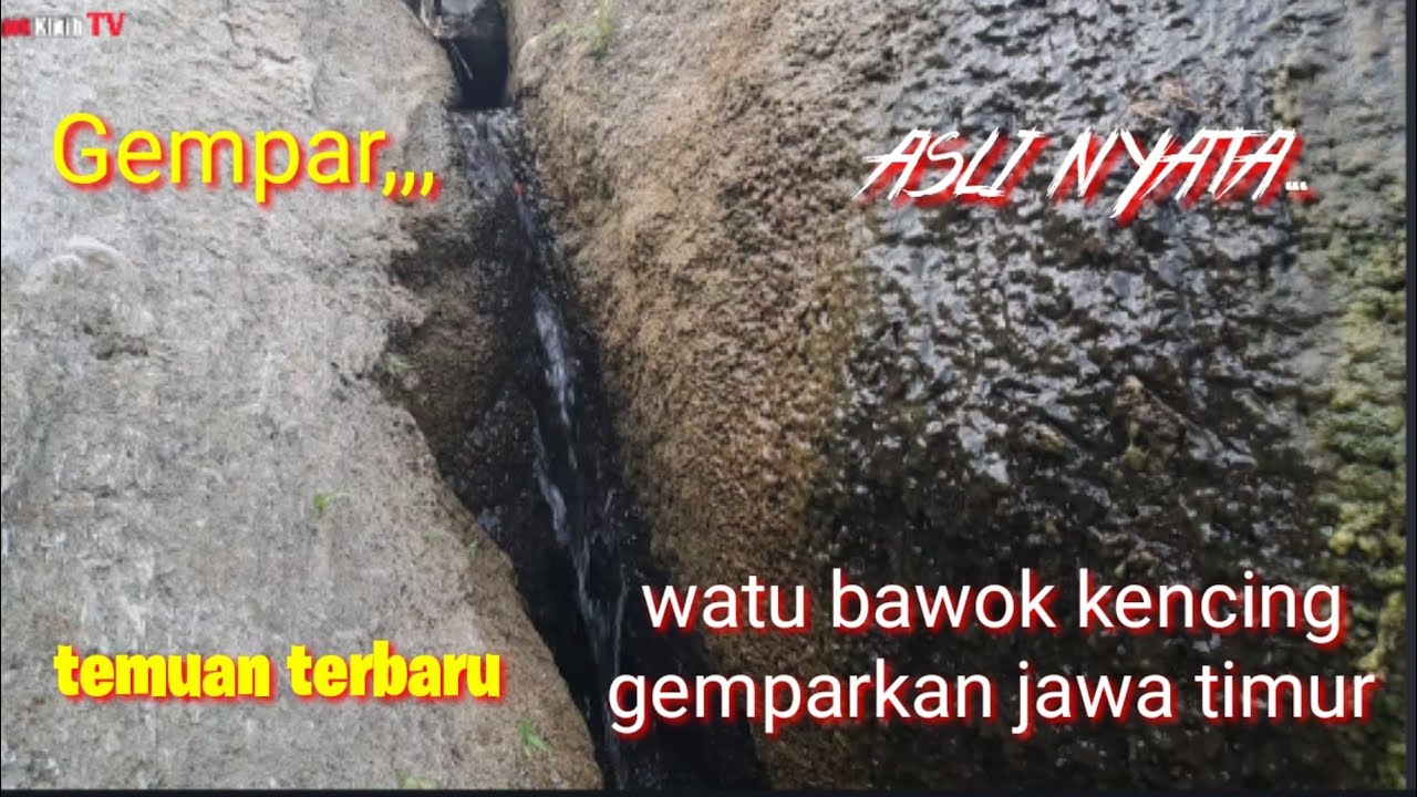 Asli nyataa....watu bawok tiba² kencing..gemparkan Jawa timur - YouTube