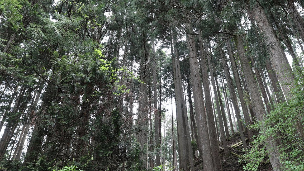 Road to HANASE - YouTube