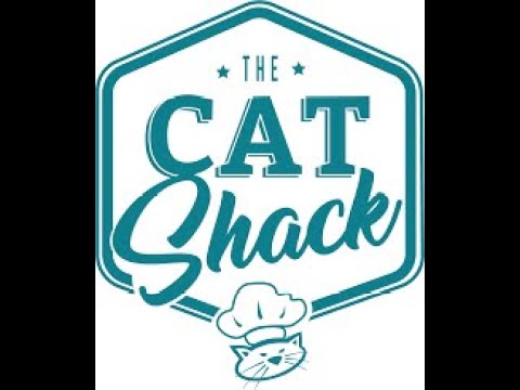 The Cat Shack - YouTube