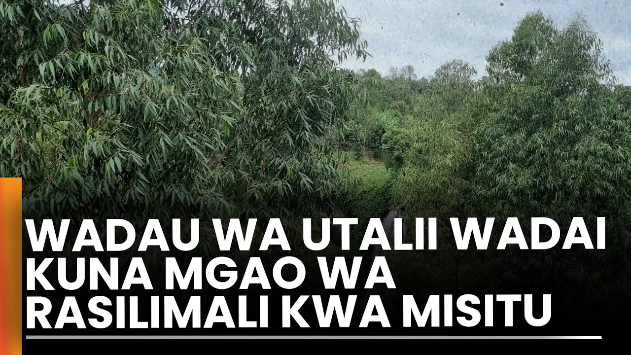 Kuchapishwa kwa msitu Njukiri - YouTube