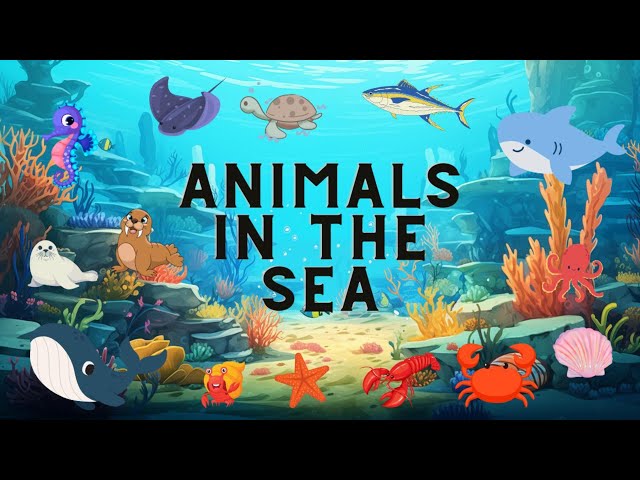 Learn Sea Animals Names And Sounds Real Sea Animals For Kids SEA