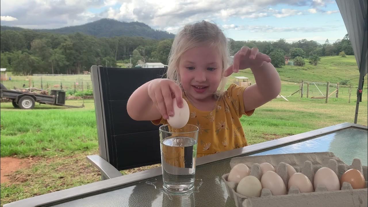 Lissy’s Farm - Meet the Ducks & See the Orchard - YouTube
