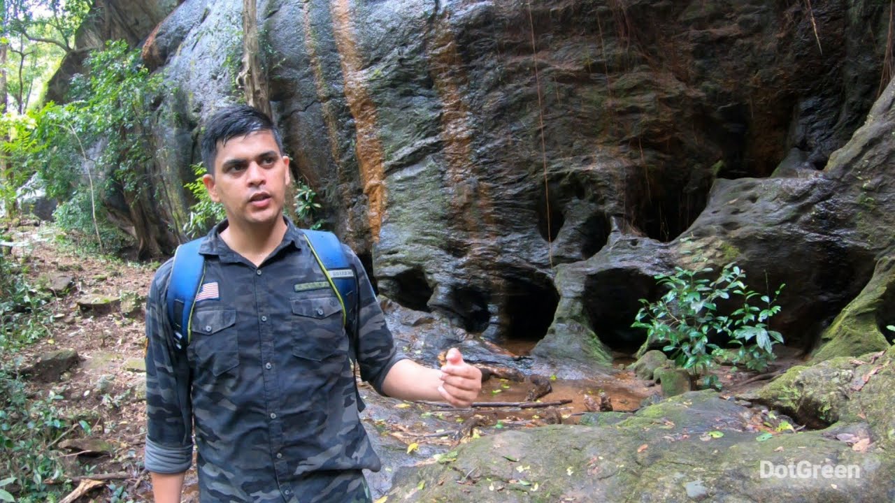 Deep Forest Trekking | Chimminy Wildlife Sanctuary | Chimminy Dam ...