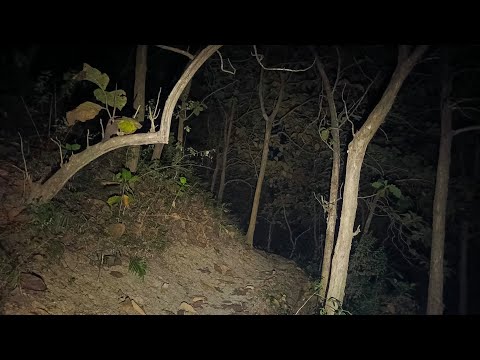 Live Misteri‼️Semua Makhluk Penunggu Sungai Terlarang Keluar, Tim Nyaris Kewalahan