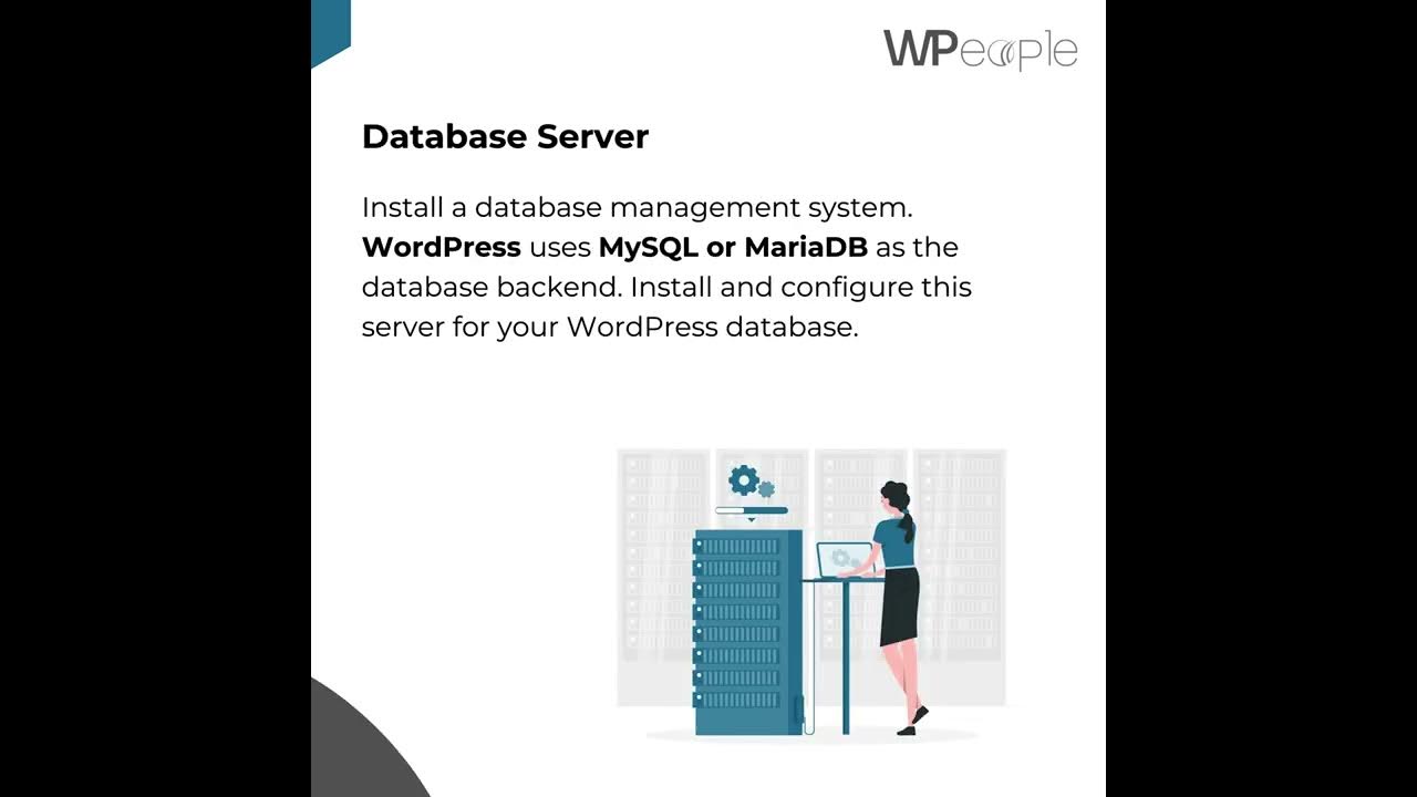 Unleashing the Power of Customization with a WordPress Plugin Developer - YouTube