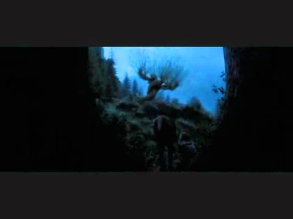 Harry Potter - Now we wait - YouTube